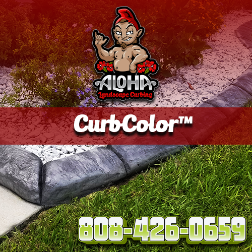 CurbColor™